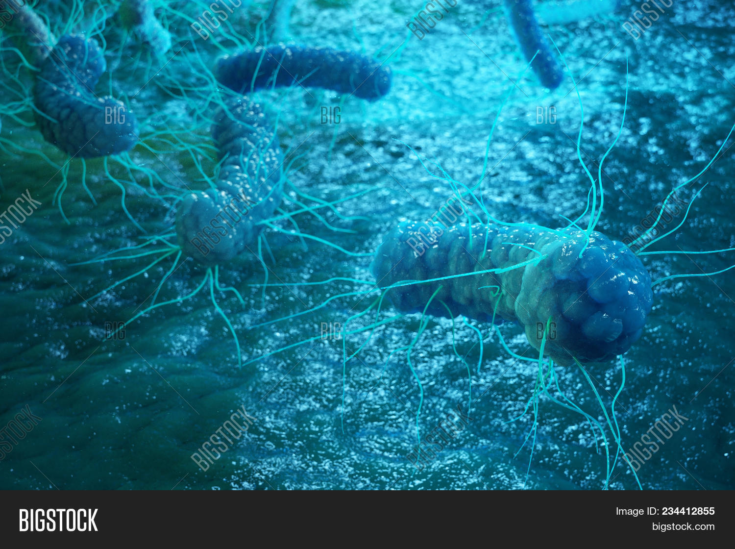 3d Rendering Enterobacterias. Gram Negativas Proteobacteria, Bacteria ...