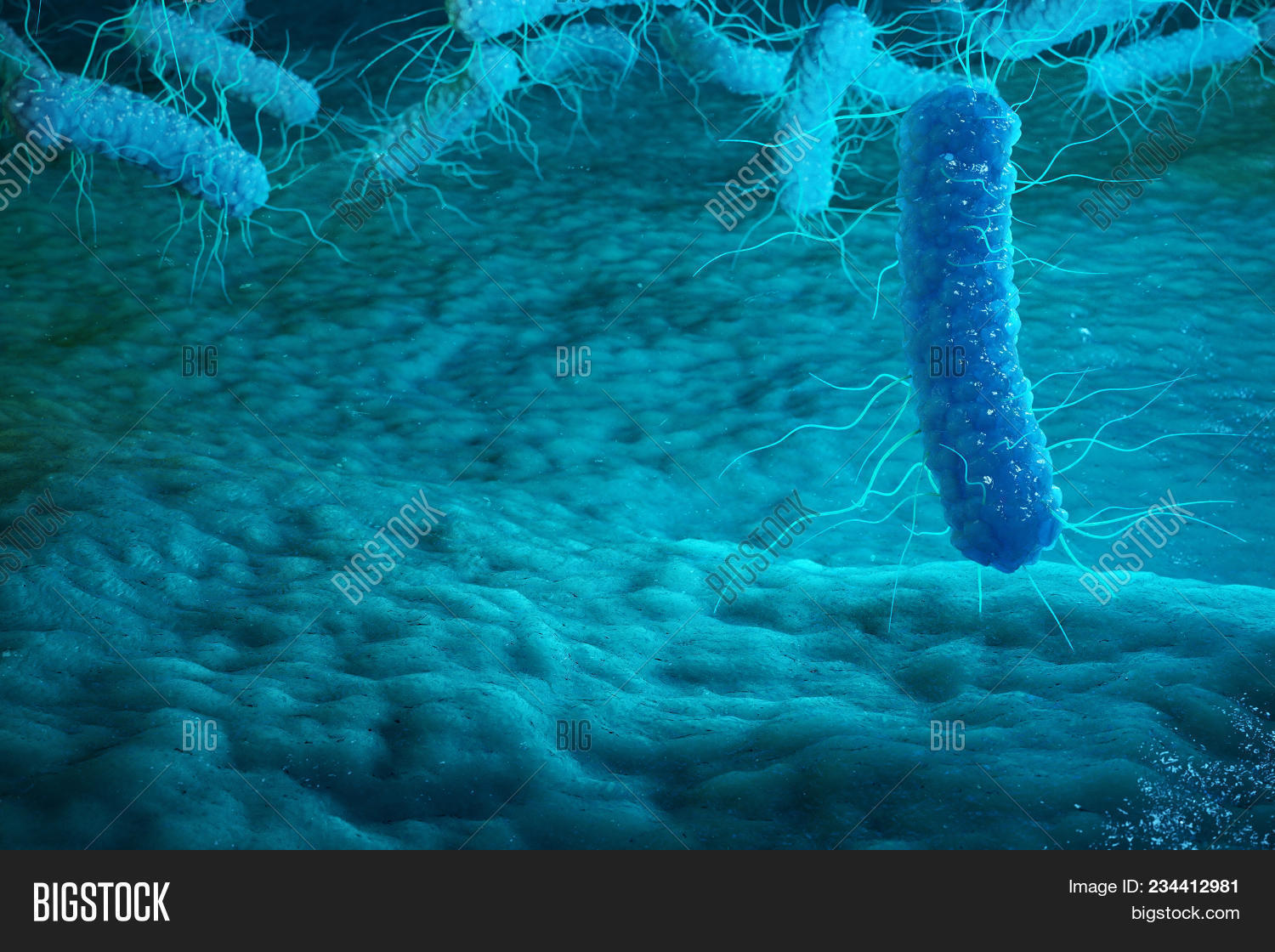 3d Illustration Enterobacterias. Gram Negativas Proteobacteria ...