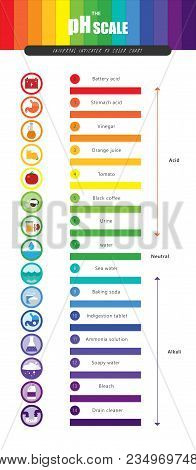 The Ph Scale Universal Indicator Ph Color Chart Diagram image & stock ...