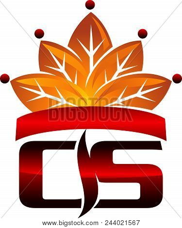 Letter Cs Cigarette Crown Logo Design Template Isolated Vector image ...