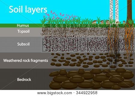 Soil Layers. Diagram For Layer Of Soil. Soil Layer Scheme With Grass ...