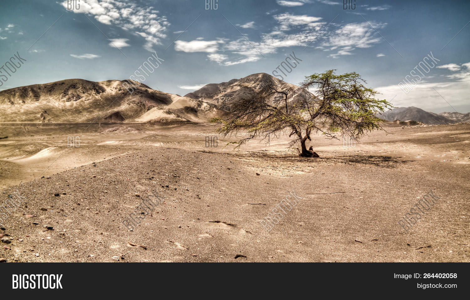 Desert Around Ancient Preinca Nazca Civilisation Cemetery Of Chauchilla ...