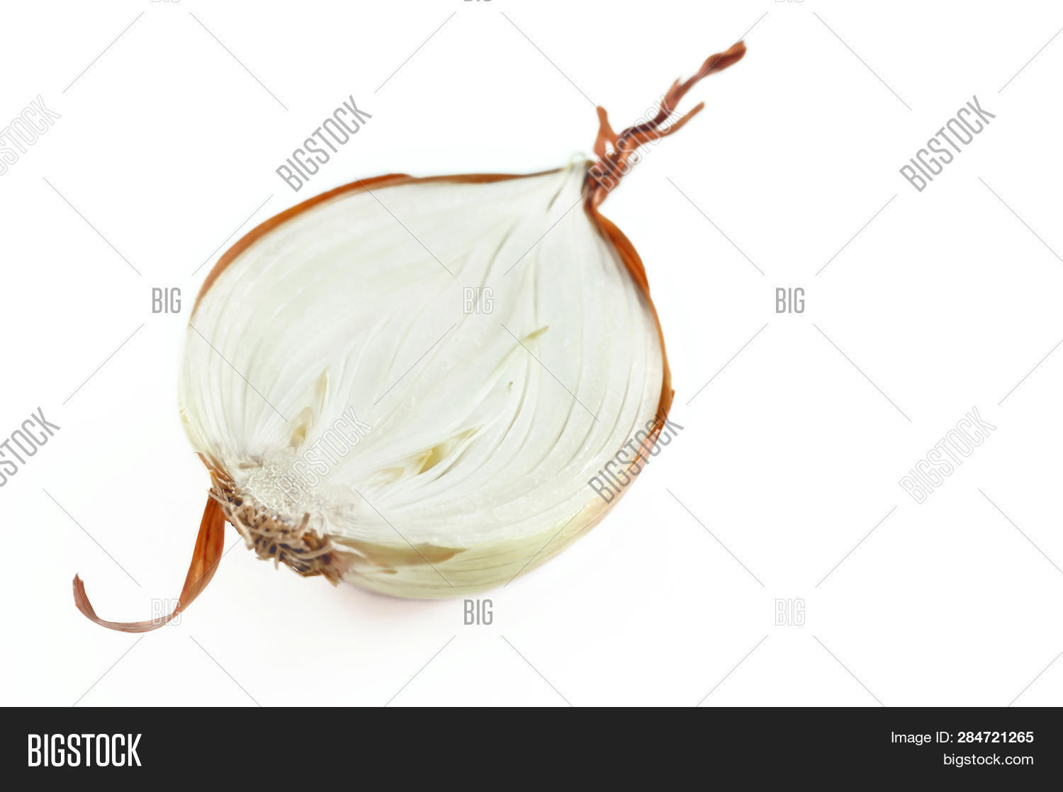 Bulb Onion, Allium Cepa, Cut In Half With Visible Scale Leaves, Basal ...