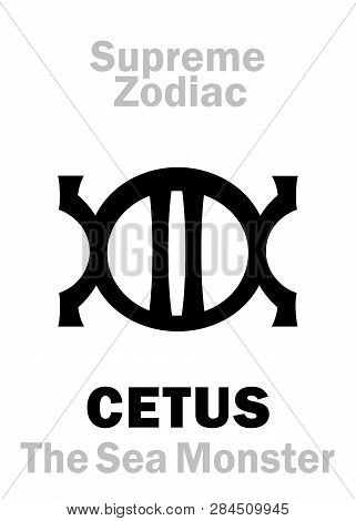 Astrology Alphabet: Cetus (the Sea Monster), Constellation Cetus (the ...