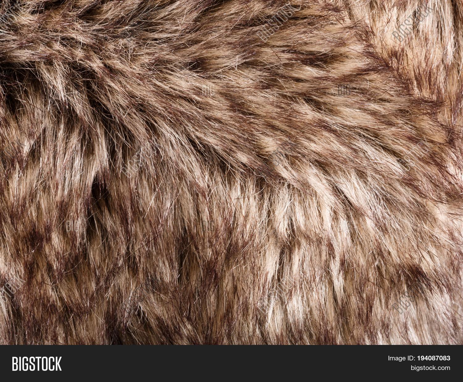Texture Of Fur. Red Brown Grey Wolf, Fox, Bear Fur Natural, Animal ...