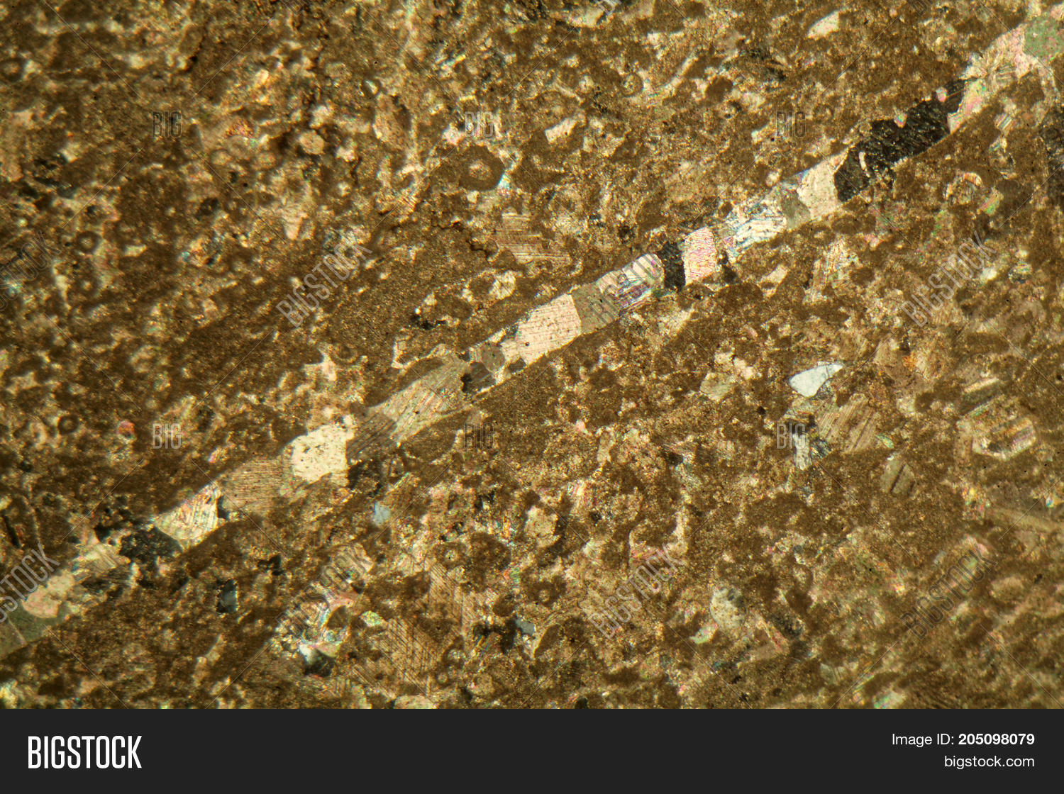 Thin Section Of Limestone Under The Microscope image & stock photo ...