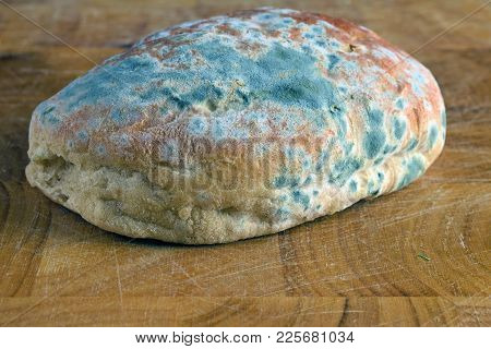 Mold On Bread. Best Before Date Has Expired A Long Time Ago With This ...