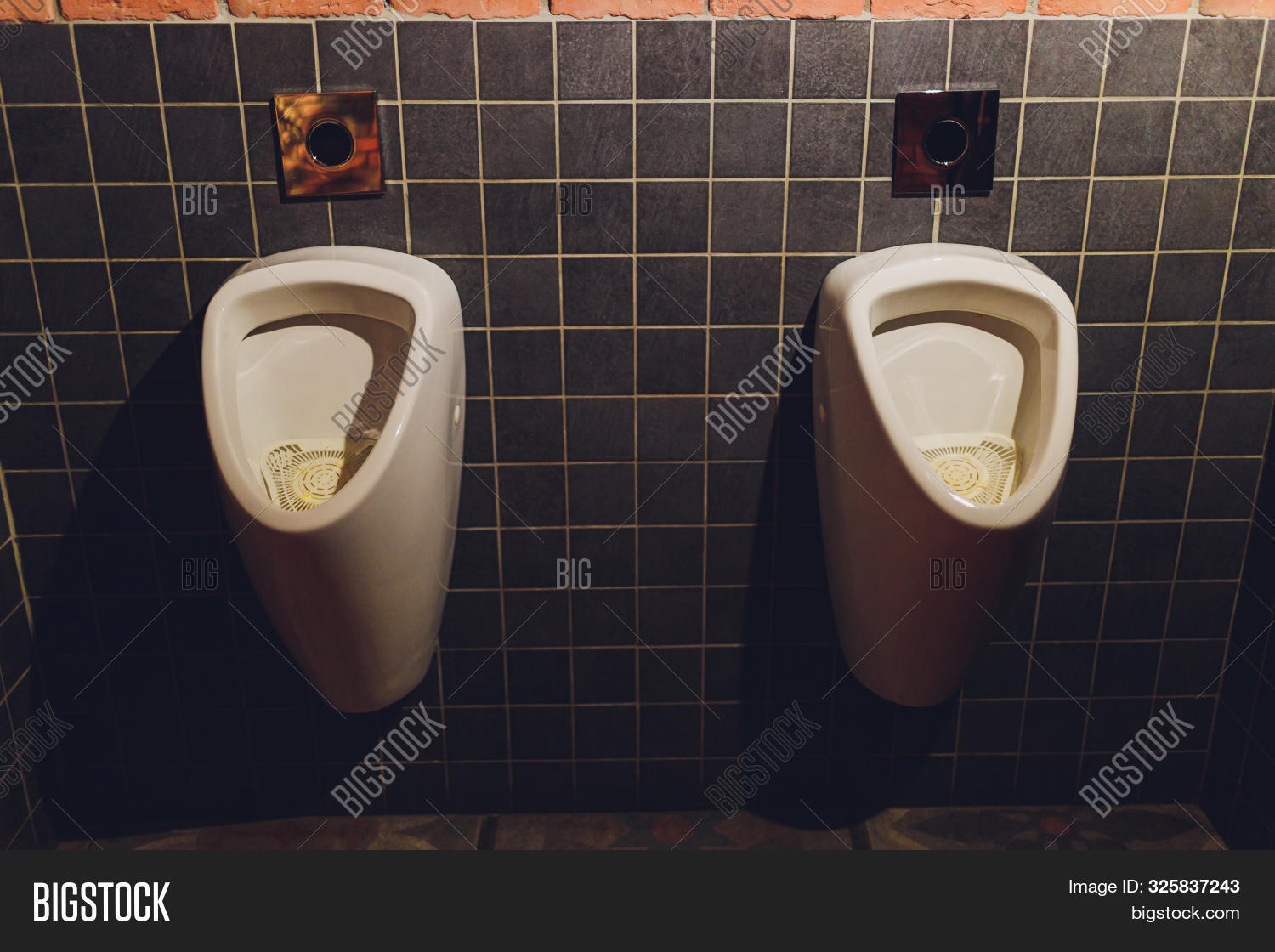 White Urinals In Mens Bathroom. Modern Restroom Interior With Urinals ...