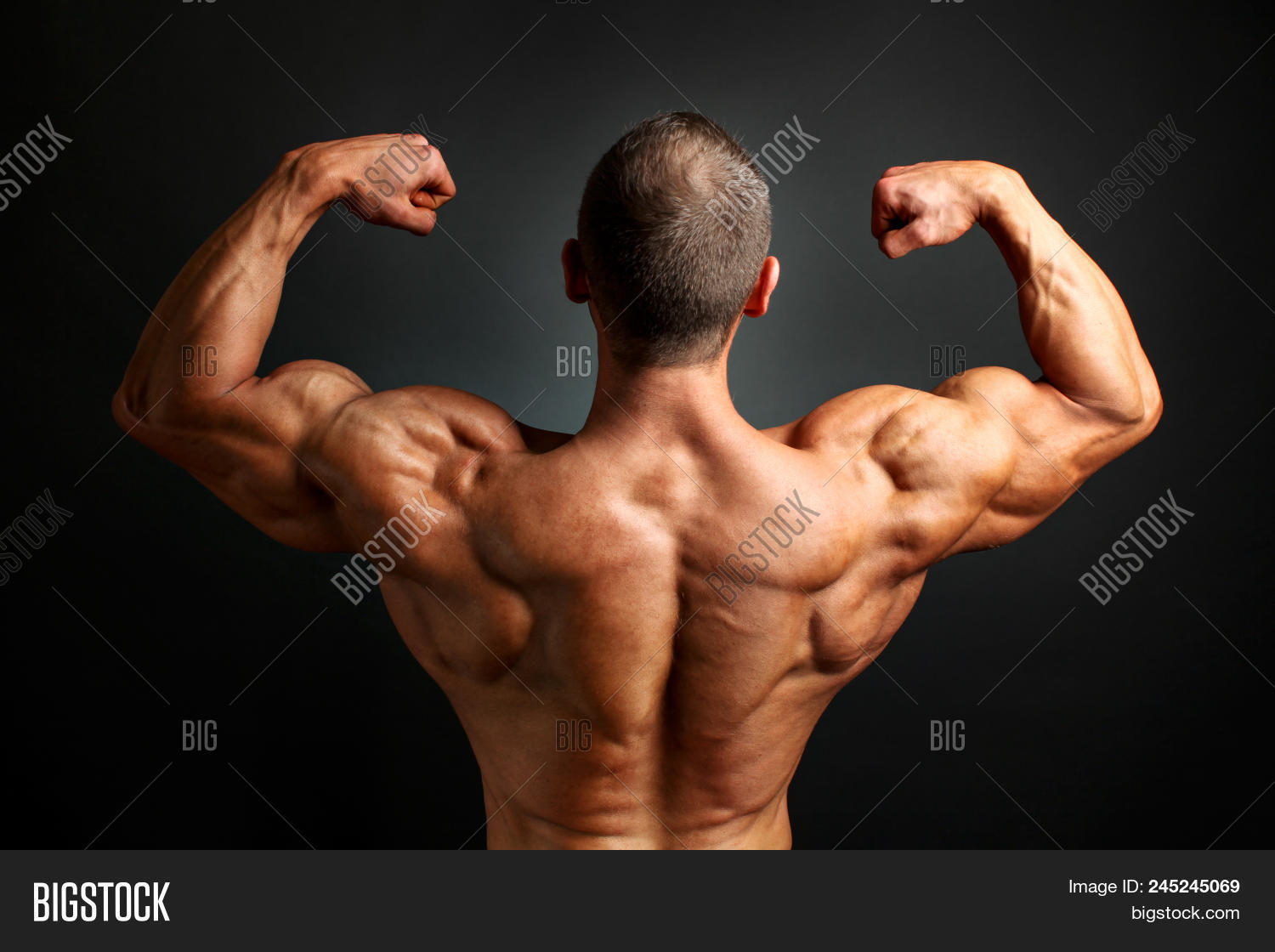 Young Bodybuilder Man Flexing Back Double Bicpes Pose, Showing His Huge ...