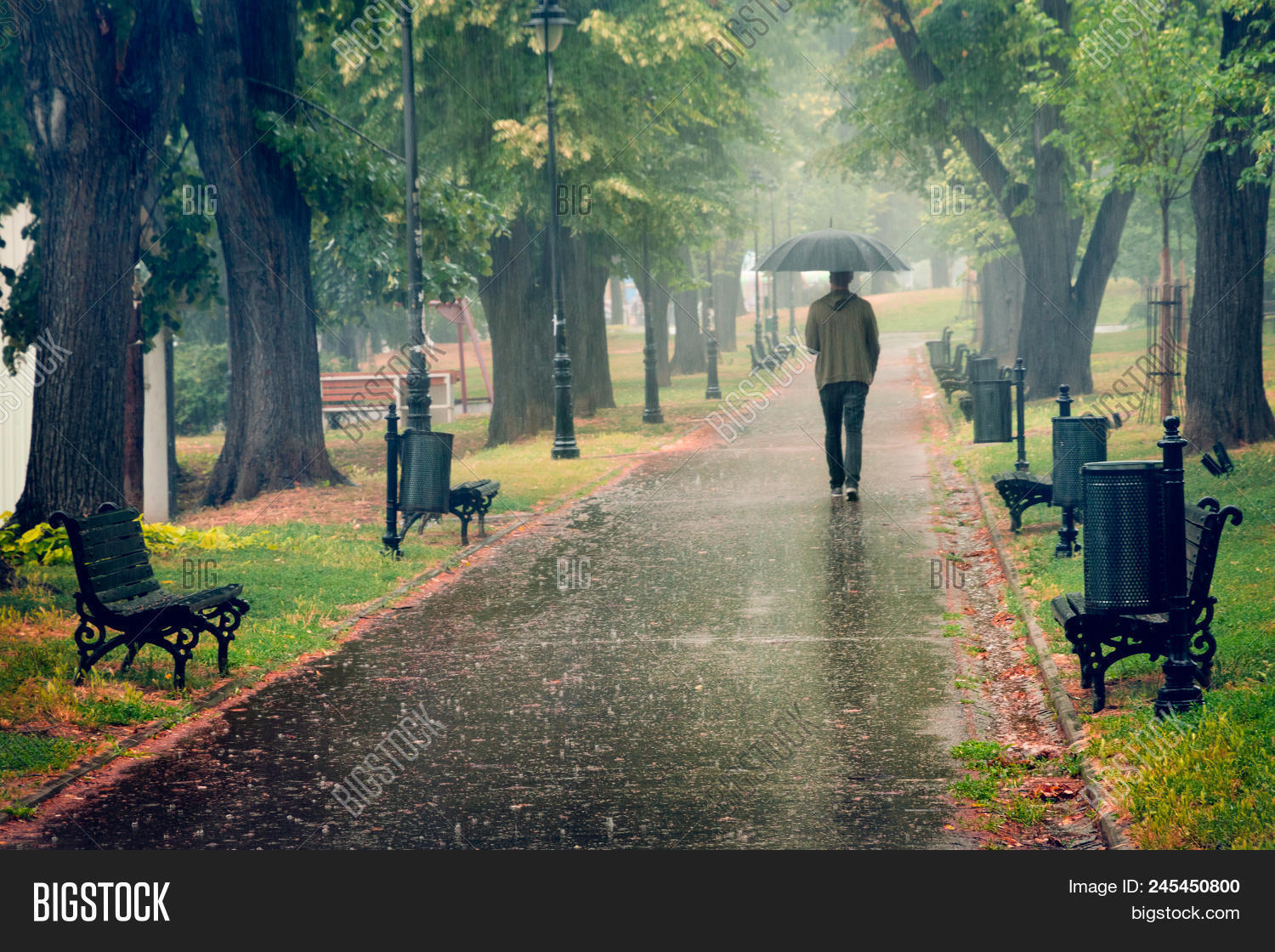 Rainy Day In The Park. Man Walking With Umbrella Under The Rain. Rain ...