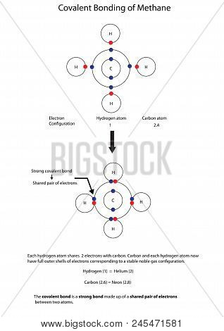 Diagram To Illustrate Covalent Bonding In Methane With A Fully Labelled ...