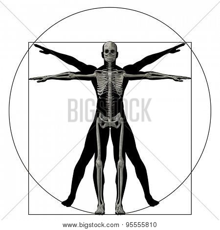 Vitruvian human or man as a concept, metaphor conceptual 3d proportion ...