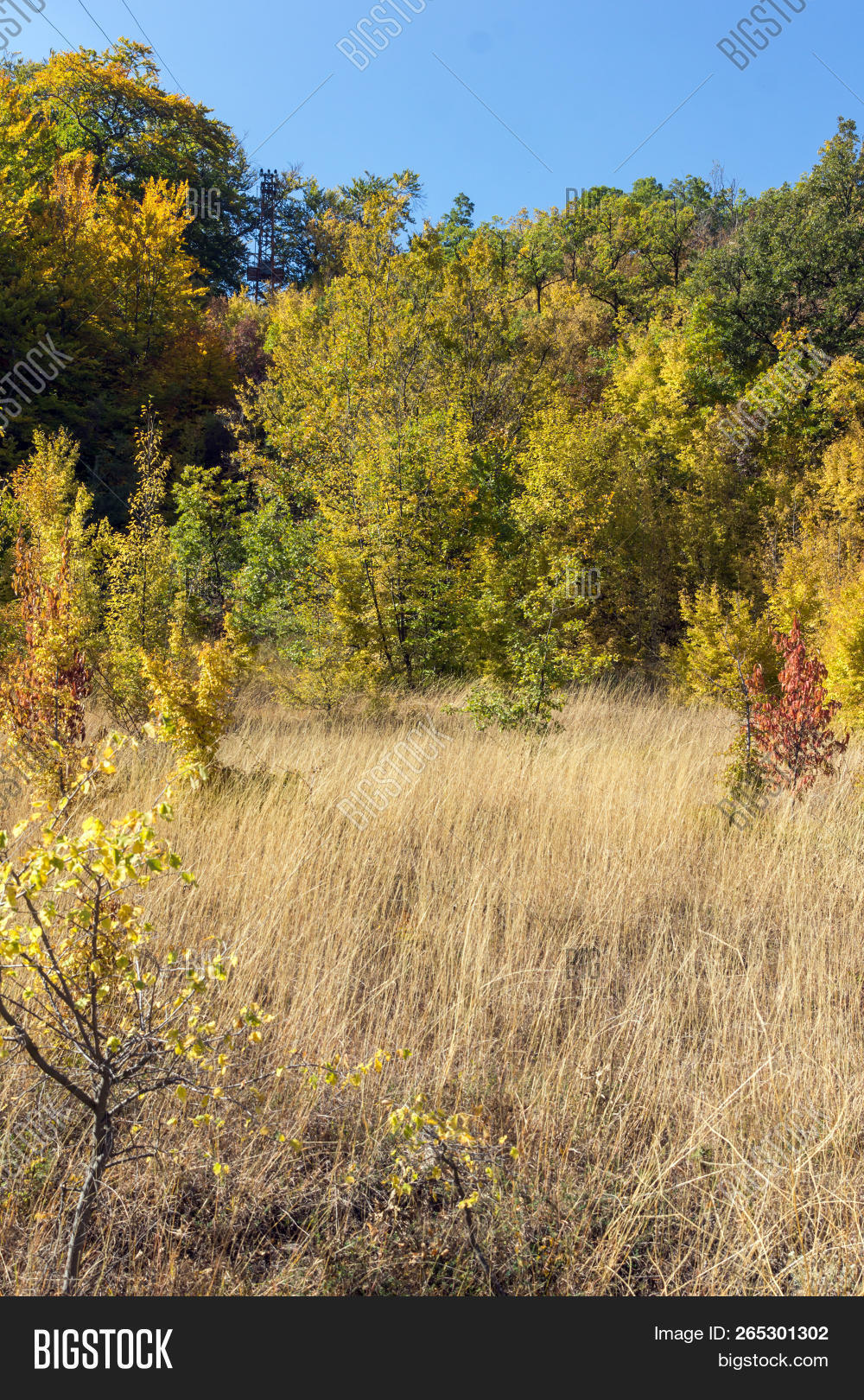 Autumn Landscape Of Ruen Mountain - Northern Part Of Vlahina Mountain ...