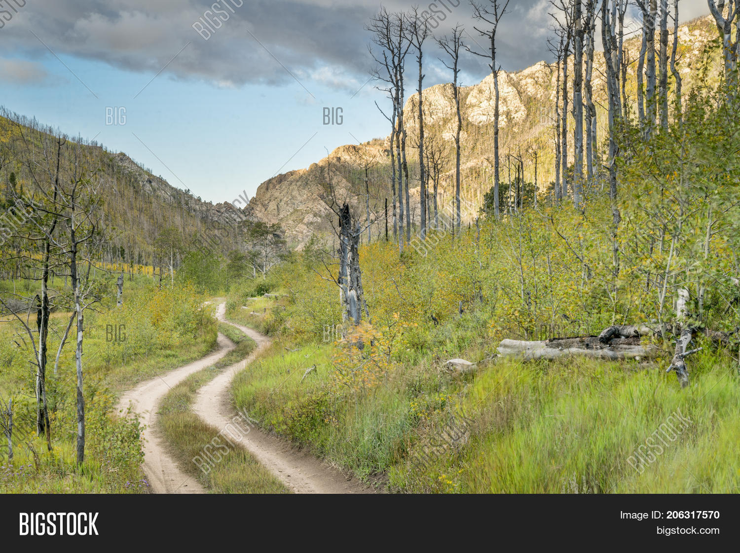 Medano Pass primitive road in Great Sand Dunes National Park and ...