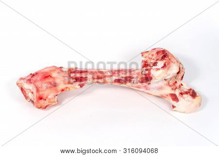 Raw Big Beef Bone For The Dog. Isolated On White Background. Food For ...