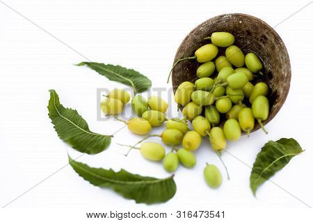 Neem Fruit Or Nim Fruit Or Indian Lilac Fruit In A Clay Bowl Isolated ...