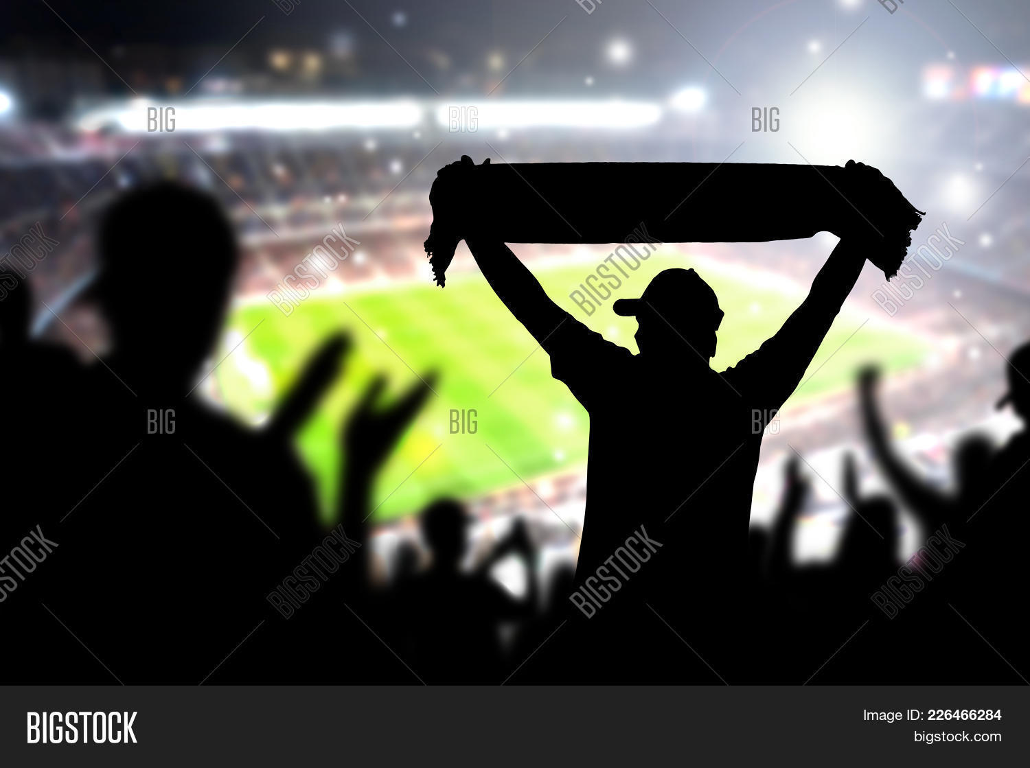 Crowd And Fans In Football Stadium. People In Soccer Game. Person ...