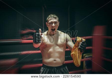 Angry And Aggressive Fighter Shows His Superiority In The Boxing Ring ...