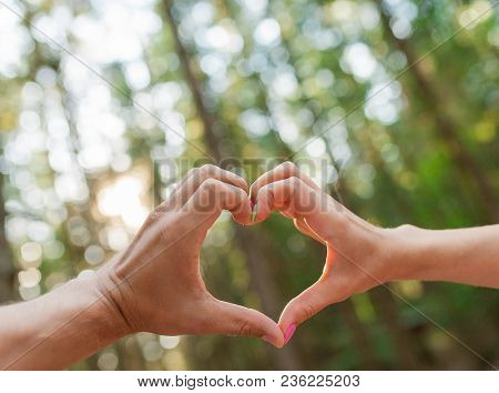 Hands together heart Images - Search Images on Everypixel