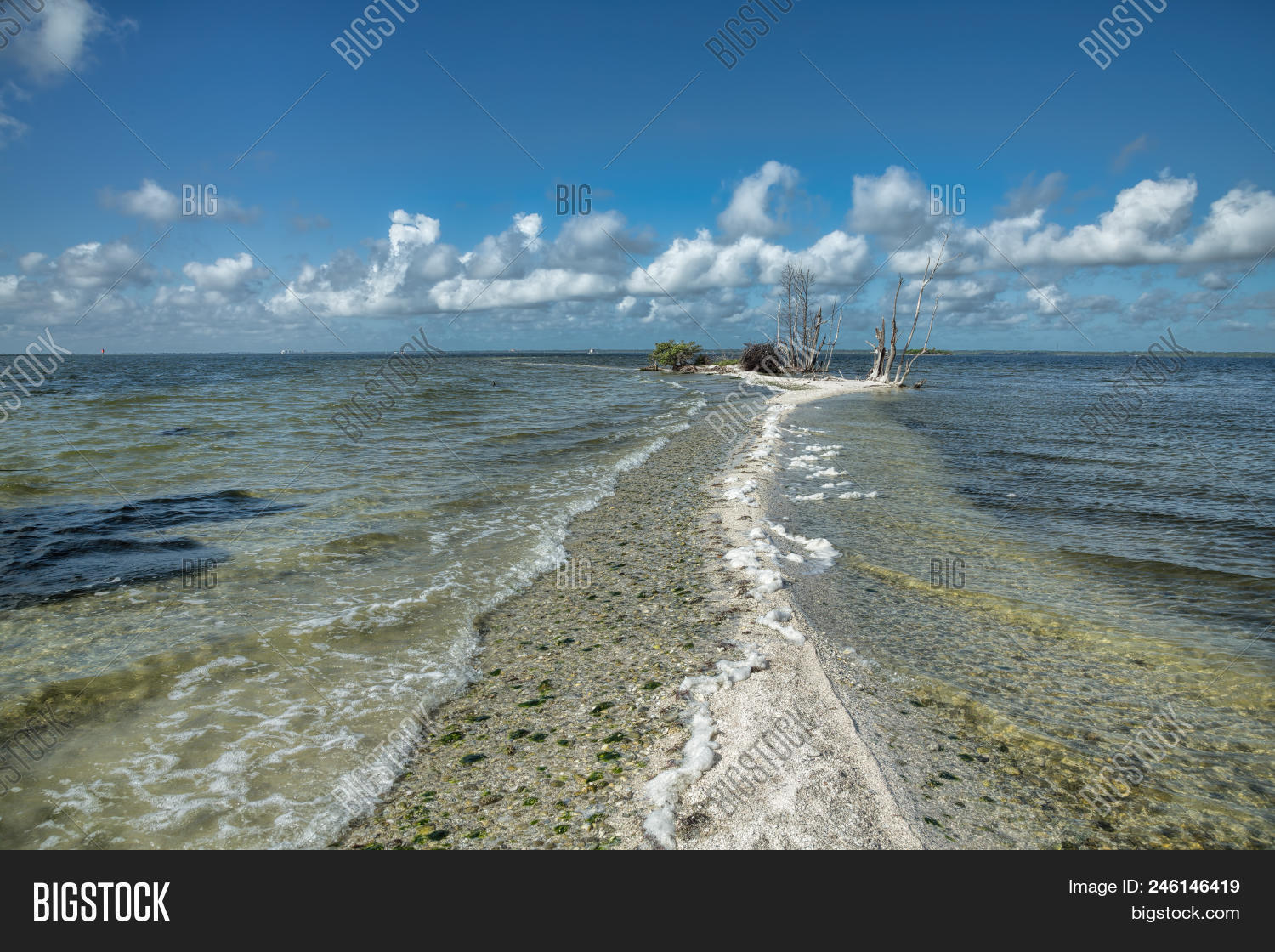 The Brackish And Mostly Shallow Indian River, Running Alongside ...