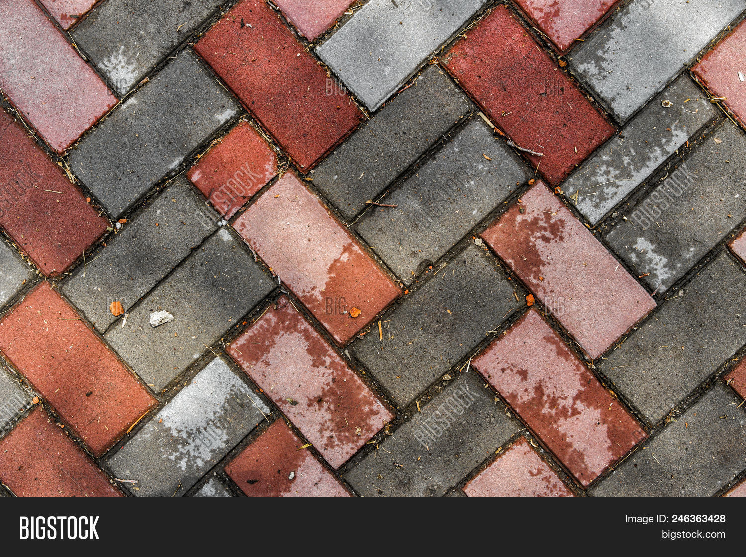 Pavement. Sidewalk Tile Background. Pavement Tile. Top View. Closeup ...