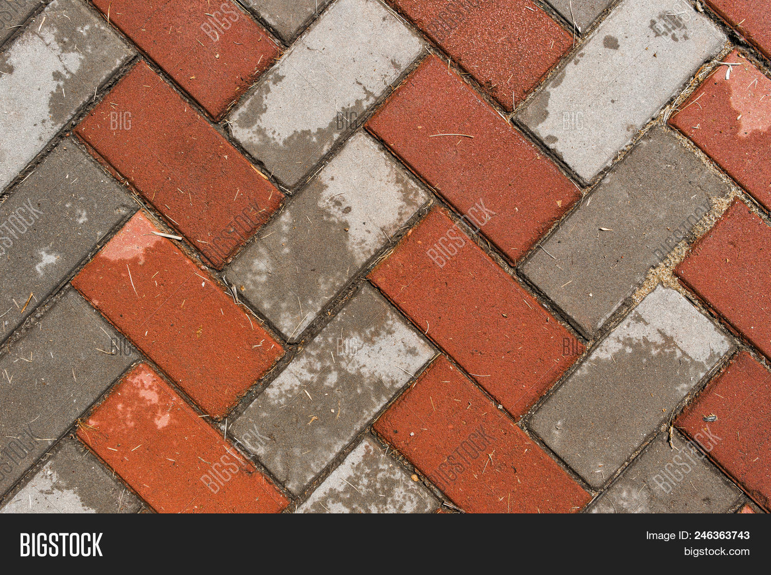 Pavement. Sidewalk Tile Background. Pavement Tile. Top View. Closeup ...