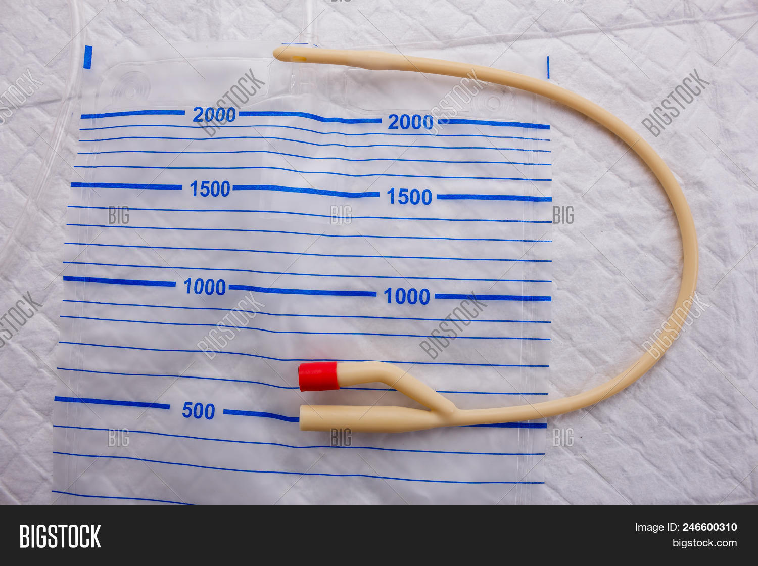 Urinary Catheter On The Package For Urine. image & stock photo. 246600310