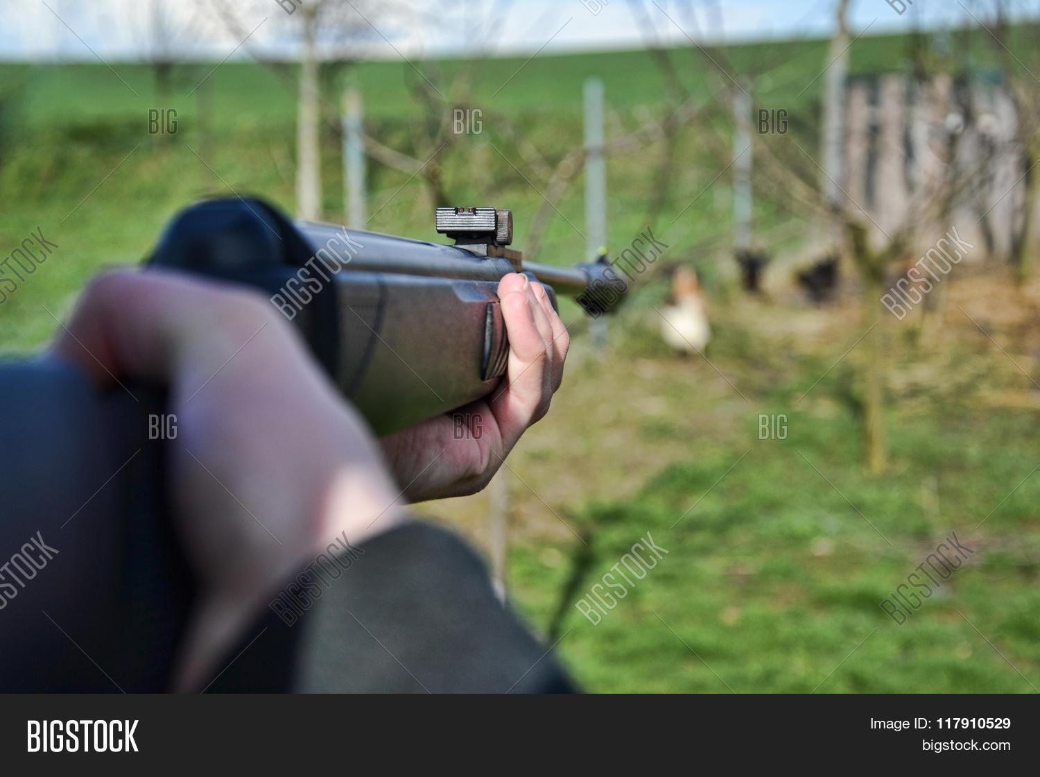 Hunter Shooting Wild Hens, Hunter Aim His Target, Jaeger Aim On His ...