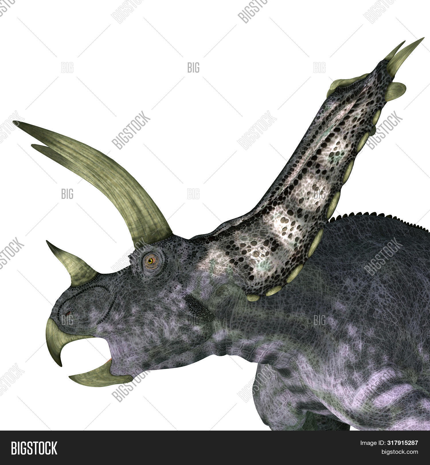 Pentaceratops Dinosaur Head 3d Illustration - Pentaceratops Was A ...
