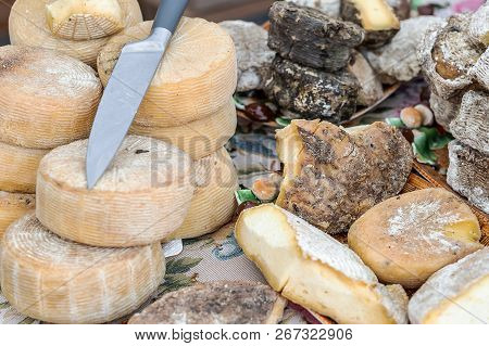 Heap Of Various Aged Ripe Craft Cheese On Counter At Farmers Fair ...