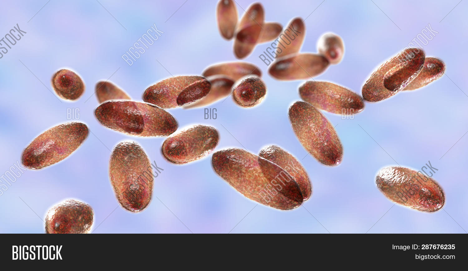 Plague Bacteria Yersinia Pestis, 3d Illustration. Gram-negative ...