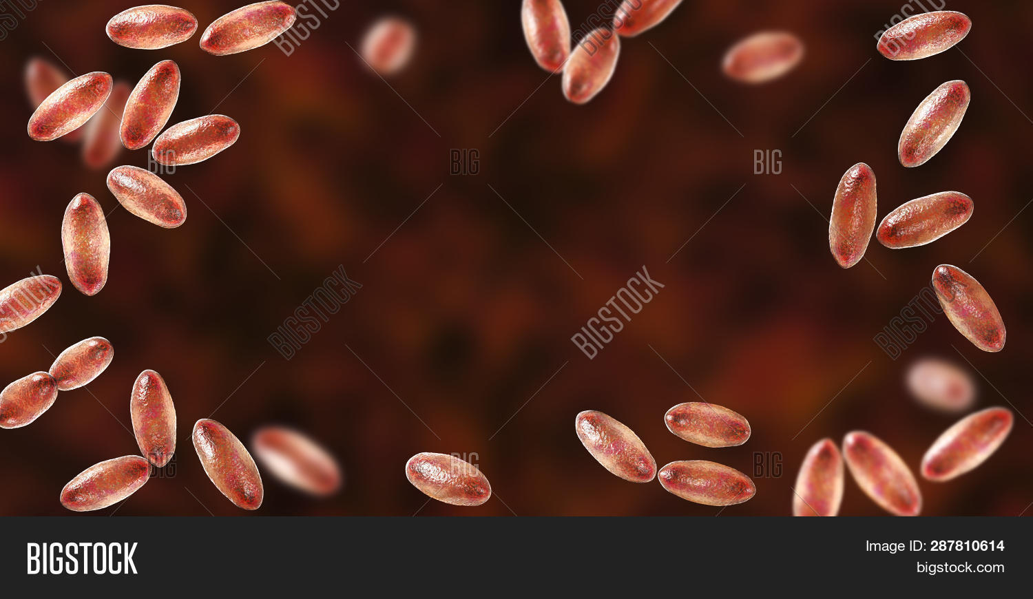 Plague Bacteria Yersinia Pestis, 3d Illustration. Gram-negative ...