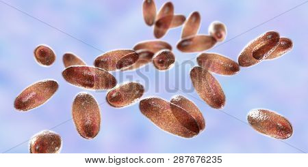 Plague Bacteria Yersinia Pestis, 3d Illustration. Gram-negative ...