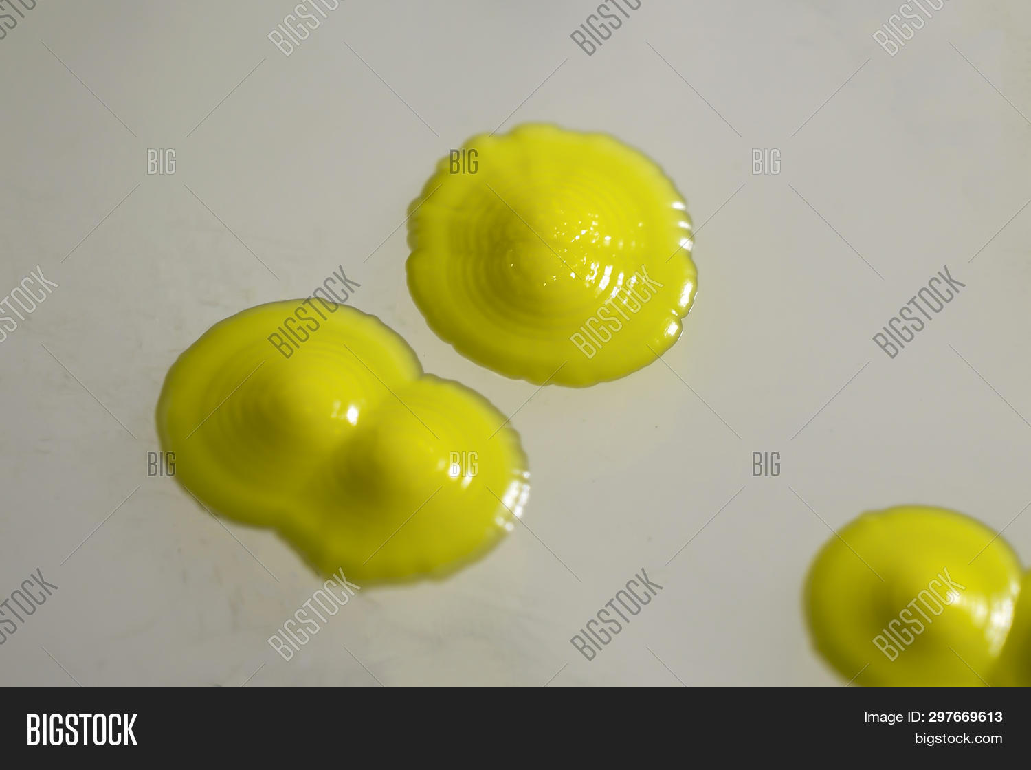 Colonies Of Micrococcus Luteus Bacteria On Agar Plate image & stock ...