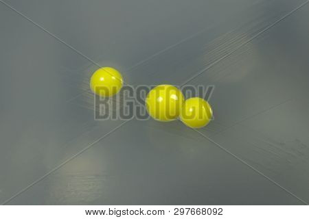 Colonies Of Micrococcus Luteus Bacteria On Petri Dish With Nutrient ...