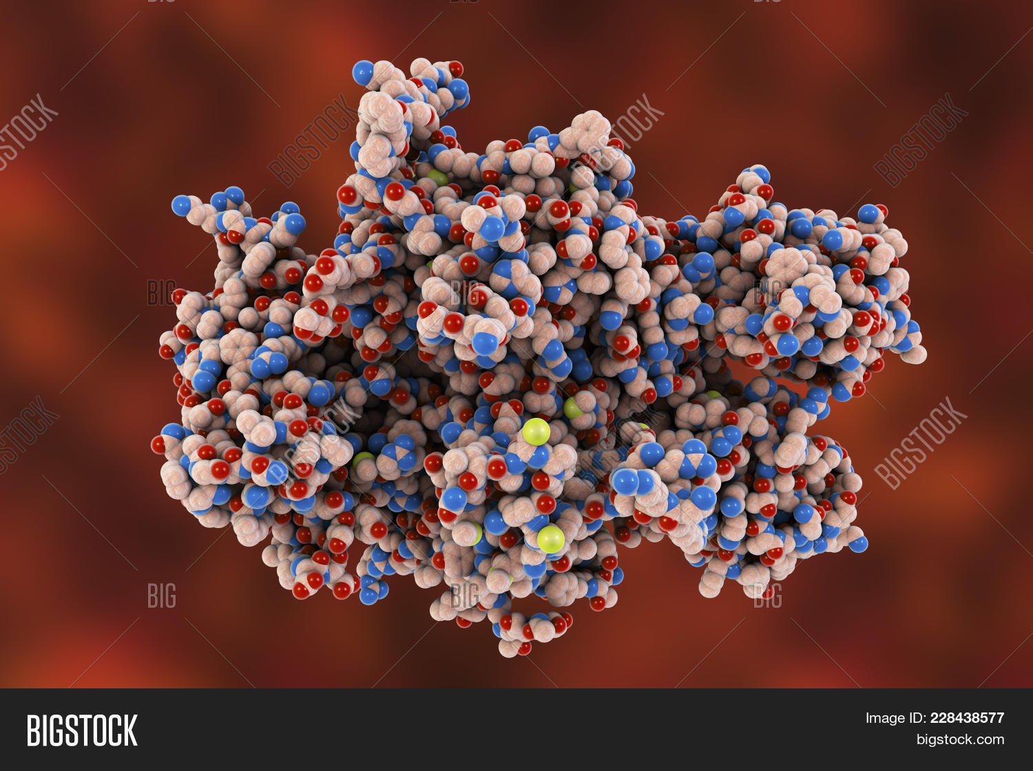 Coagulation Factor Viii, Fviii, An Essential Blood-clotting Protein ...
