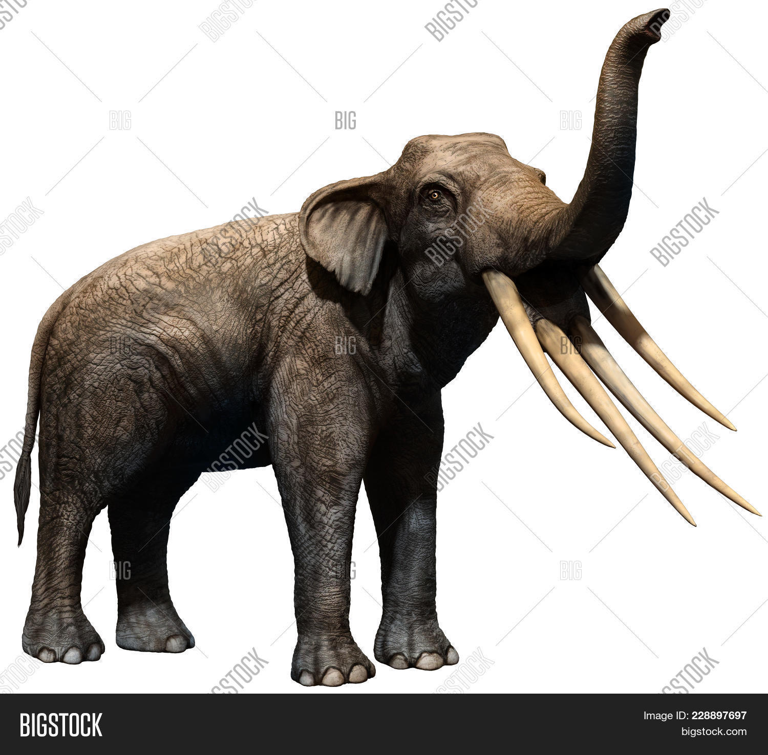 Stegotetrabelodon From The Miocene Era 3d Illustration image & stock ...