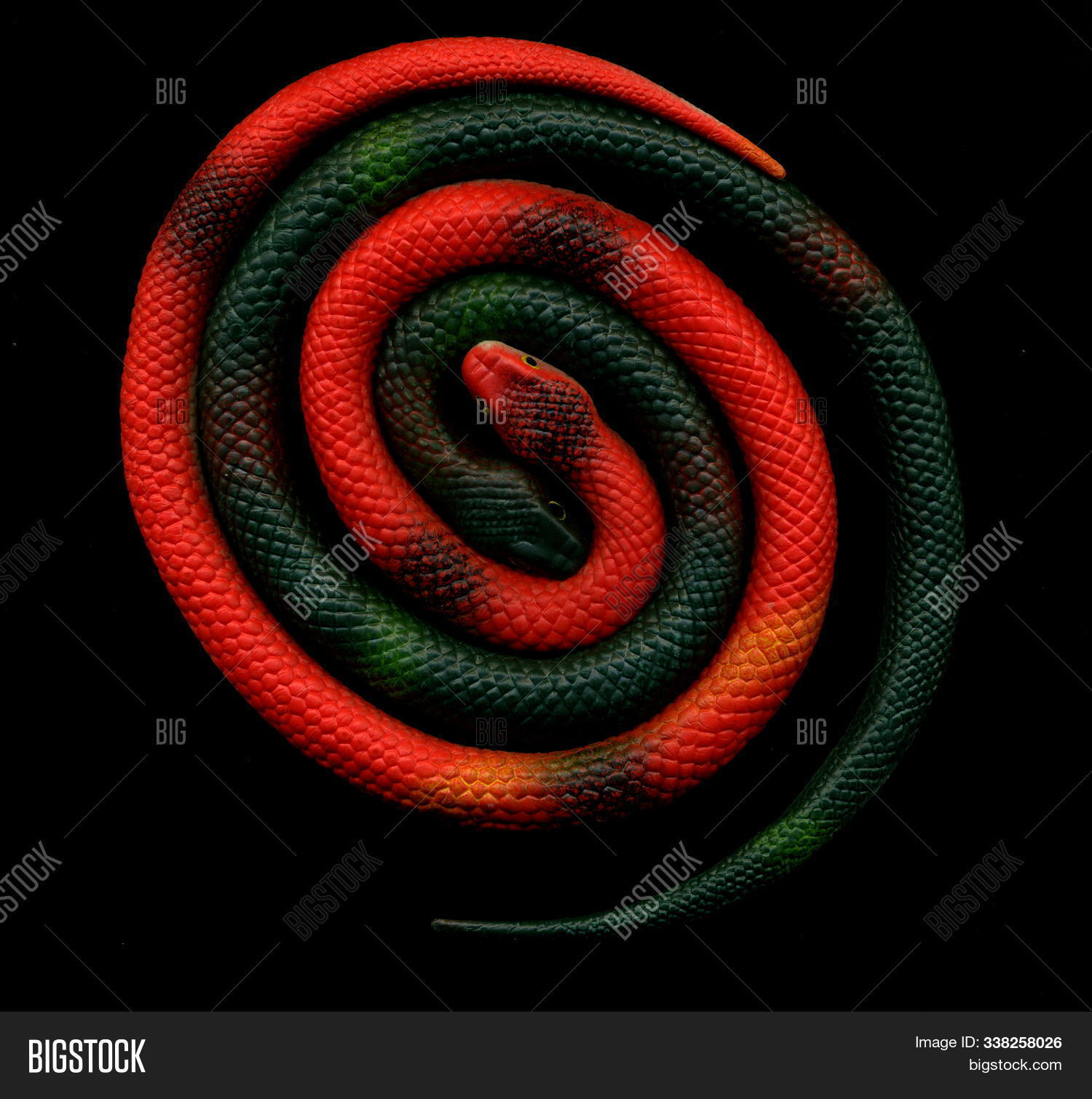 Red Toy Rubber Snake Rolled Up In A Ball. Colored Toy Snake. Rubber ...