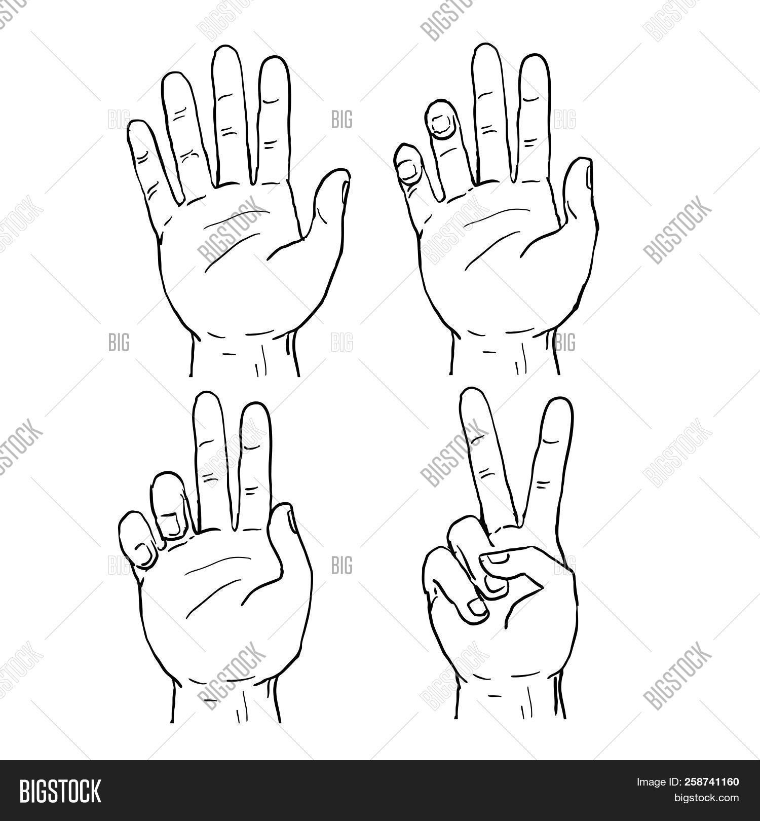 Drawing Sketch Style Illustration Showing The Sequence Progression Of A ...