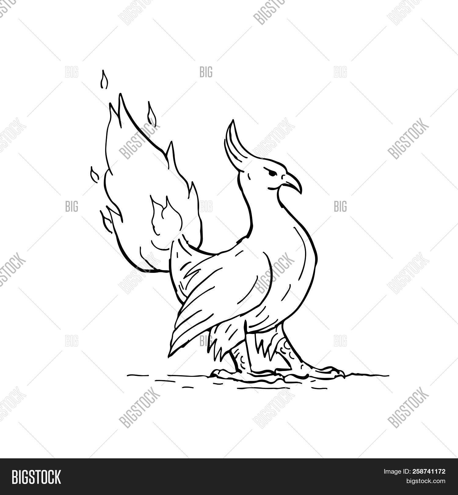 Drawing Sketch Style Illustration Of A A Phoenix, In Greek Mythology, A ...