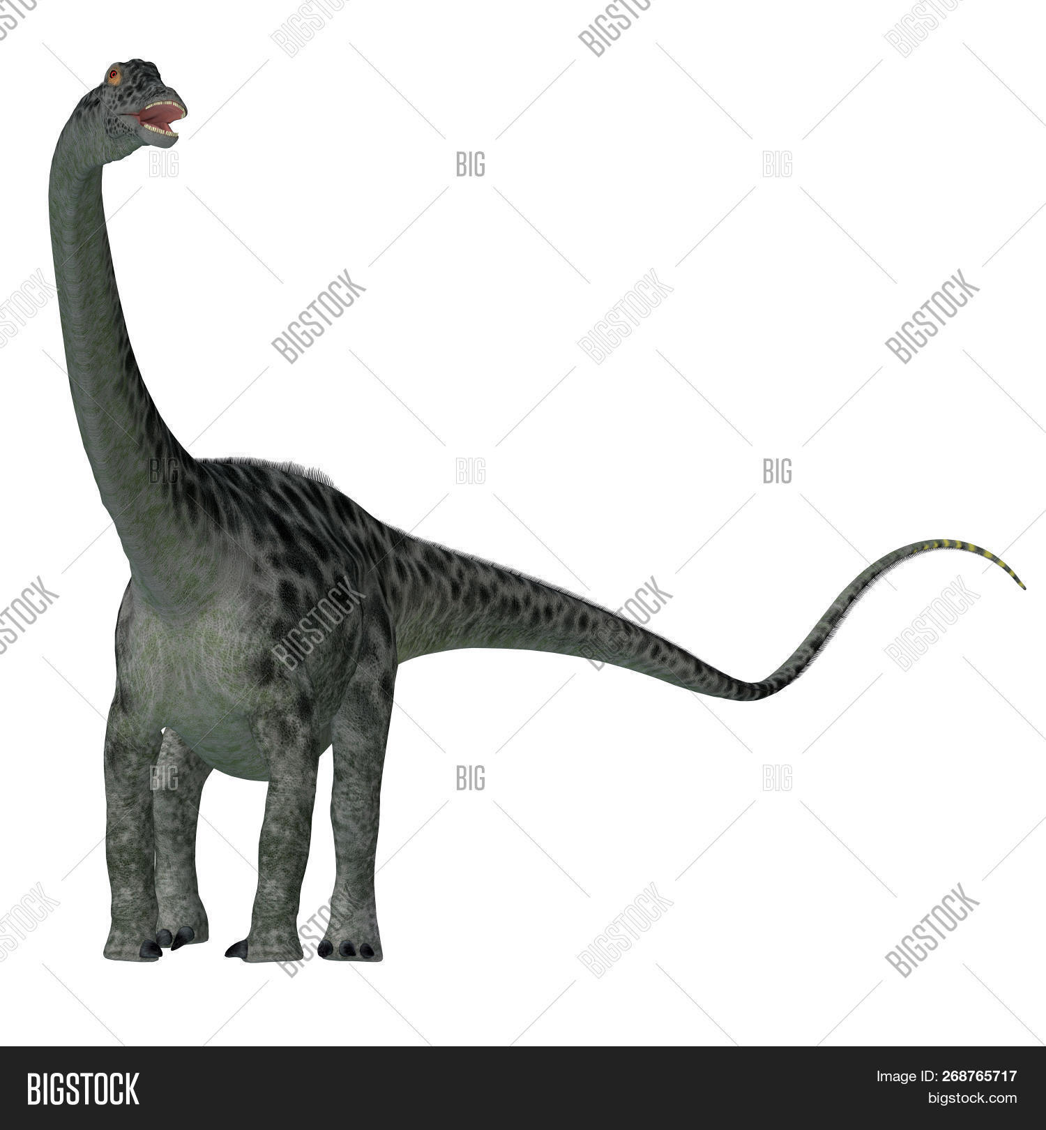 Diplodocus Dinosaur Tail 3d Illustration - Diplodocus Was A Sauropod ...