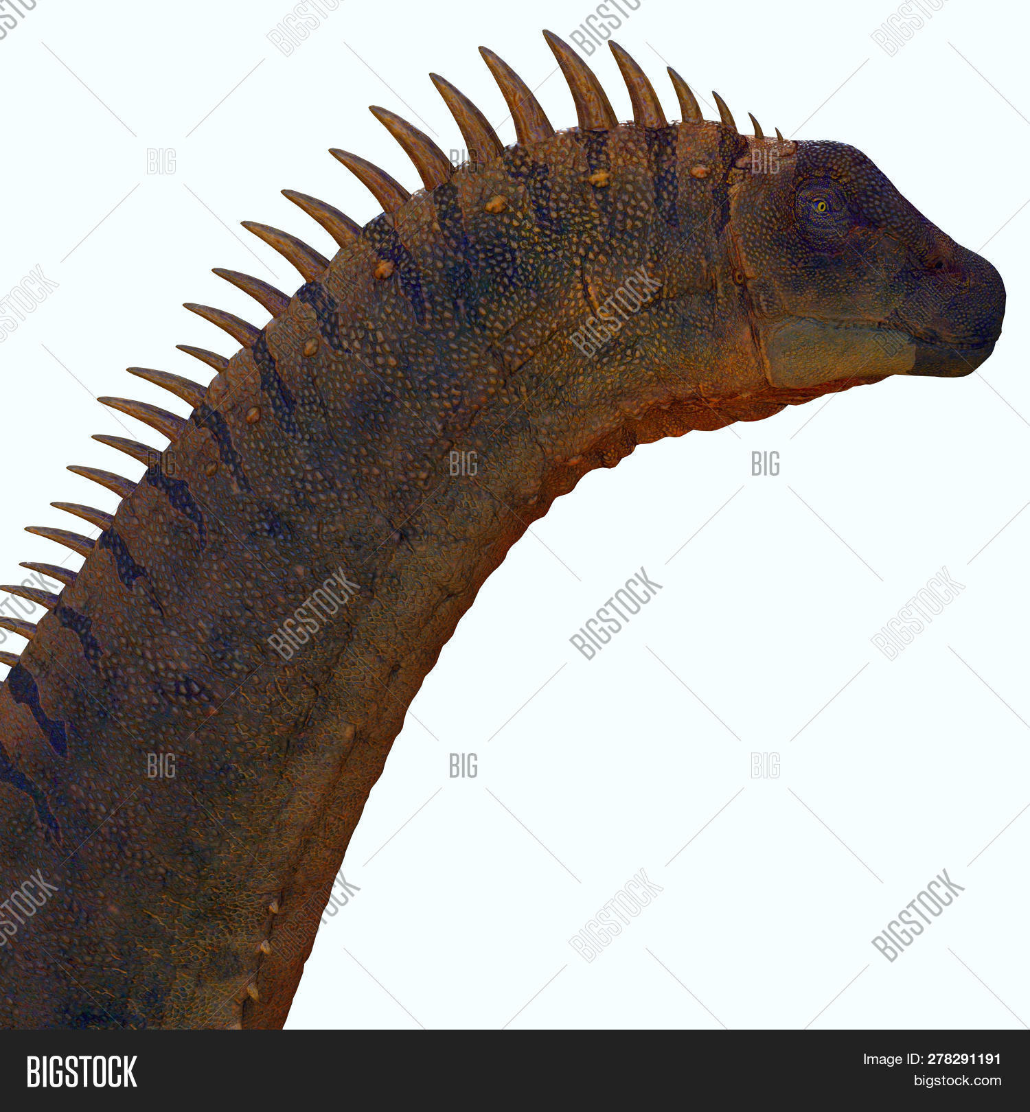 Alamosaurus Dinosaur 3d Illustration - Alamosaurus Was A Titanosaur ...