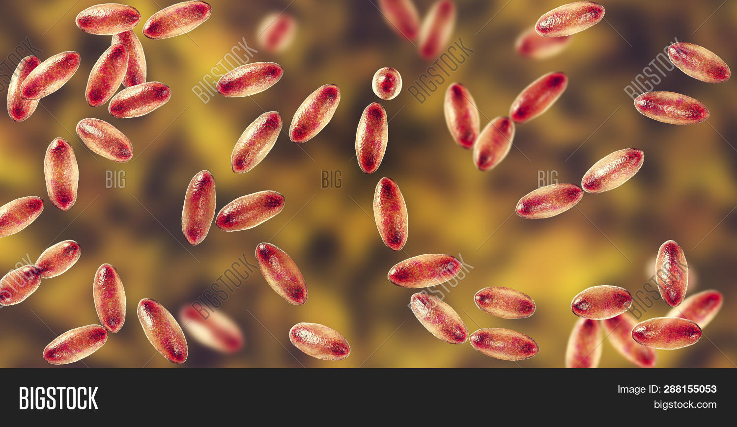 Plague Bacteria Yersinia Pestis, 3d Illustration. Gram-negative ...