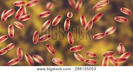 Plague Bacteria Yersinia Pestis, 3d Illustration. Gram-negative ...