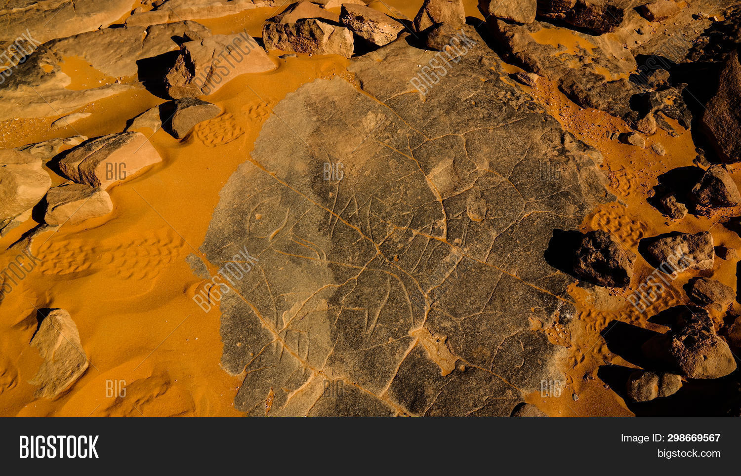 Cow - Cave Paintings And Petroglyphs At Tamezguida Tassili Najjer ...