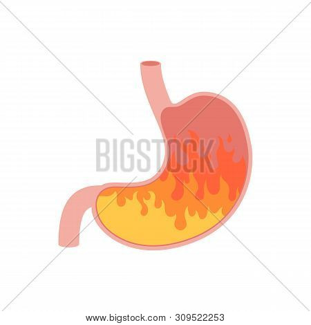 Stomach With Fire Icon. Human Internal Organs Symbol. Digestive System ...