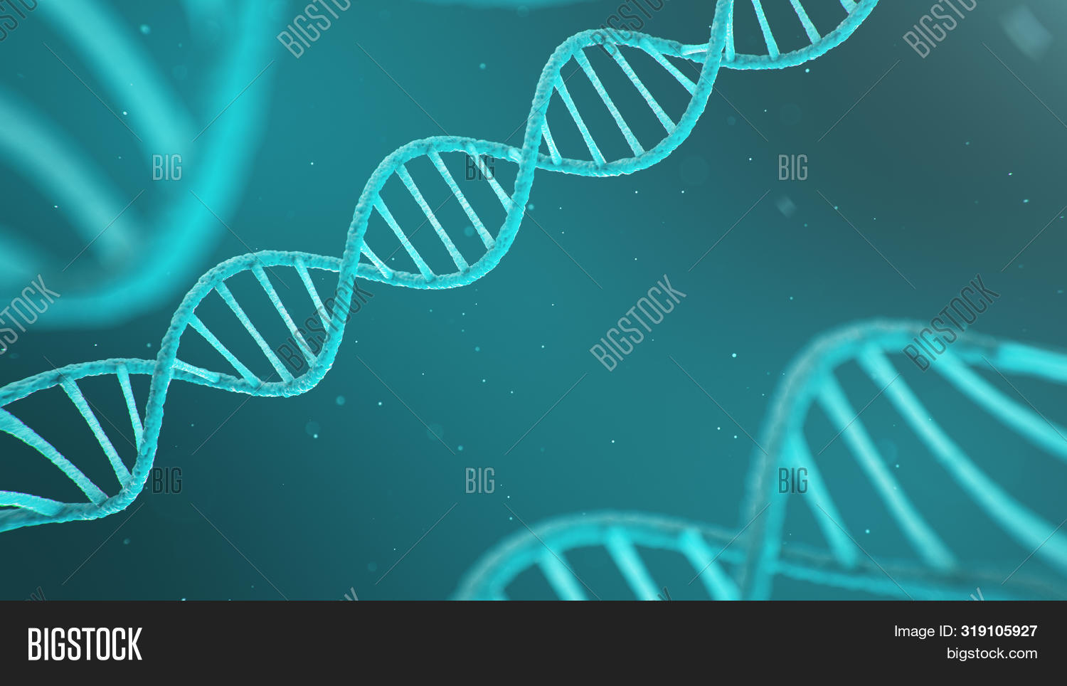 Double Helical Structure Of Dna, Dna Molecule, Rna. The Concept Of ...