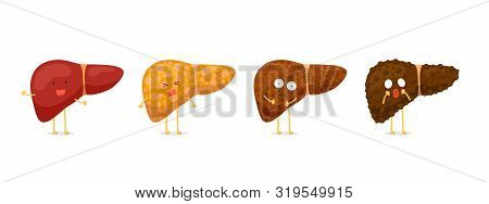 Stages Human Liver Character Damage Concept Set. Healthy Liver ...