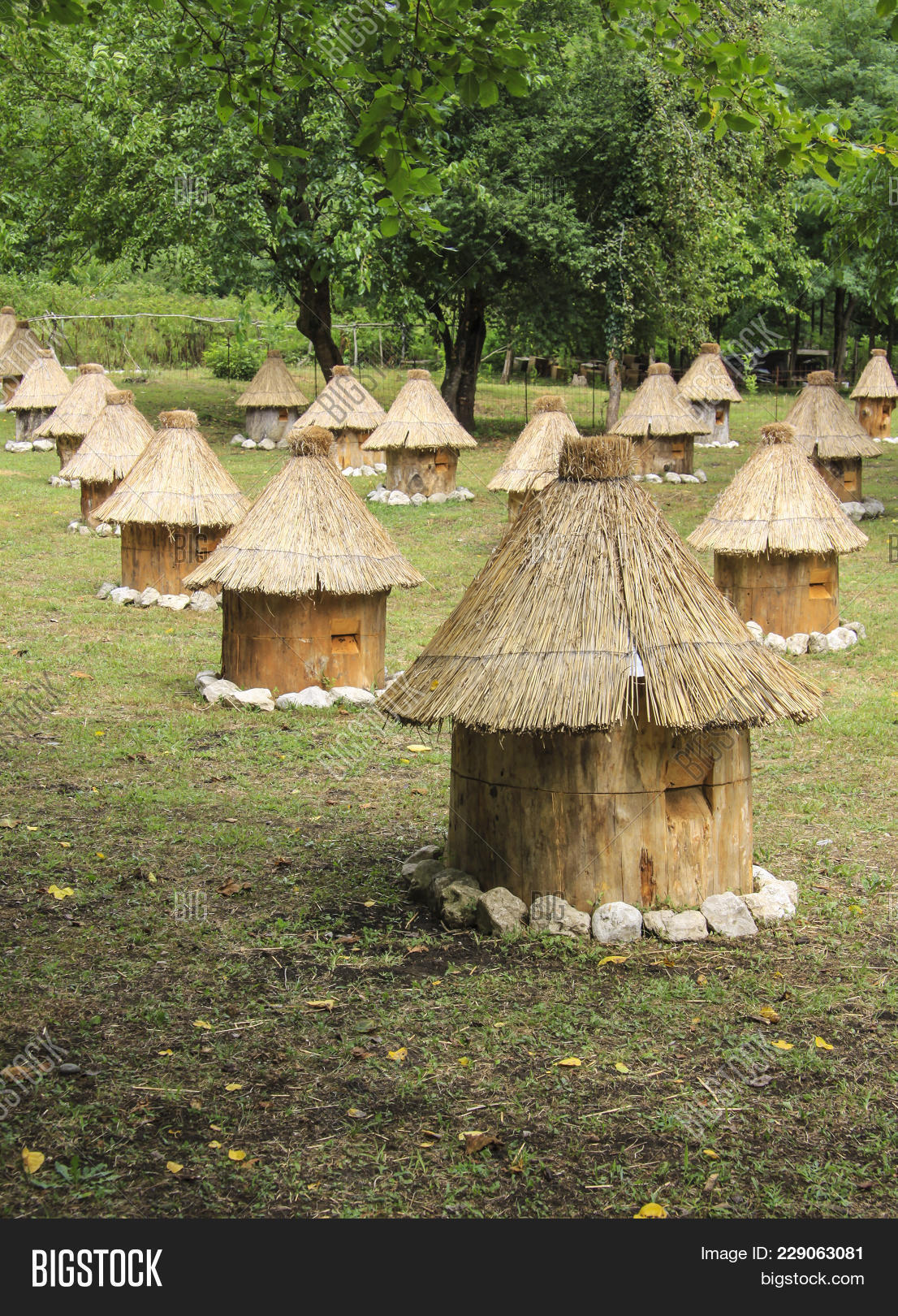 Glade In Outdoor, Group Wooden Bee Hives With Thatched Roof Of Honey ...