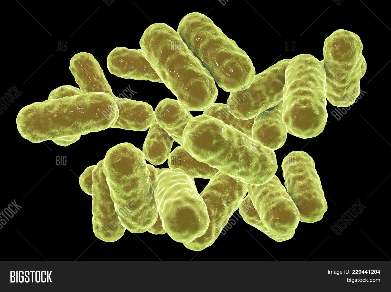 Enterobacter Bacteria, Gram-negative Rod-shaped Bacteria, Part Of ...